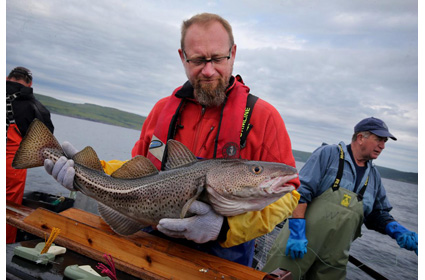 Cod rebound in Newfoundland - IEyeNews