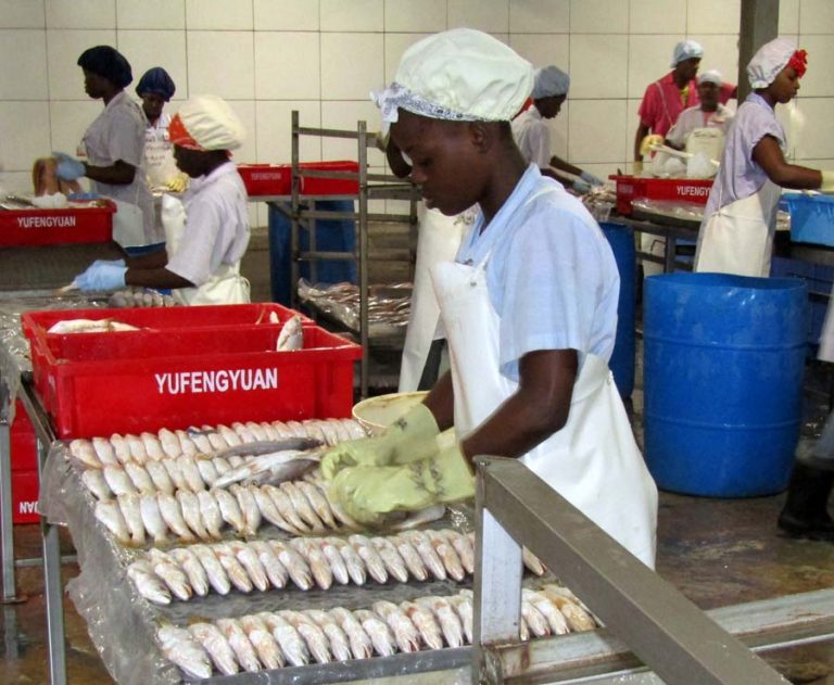 Fisheries Ministers from CRFM Member States meet Friday in Guyana ...