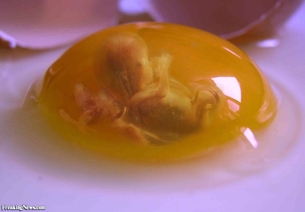 Law firm files 2nd major embryo loss case in same week, focus is on ...