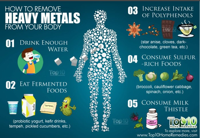 Heavy metals stored within your body: Yes, you probably have them ...