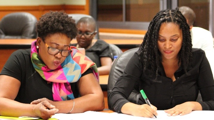 Developing a Climate Change Policy for Saint Vincent and the Grenadines ...