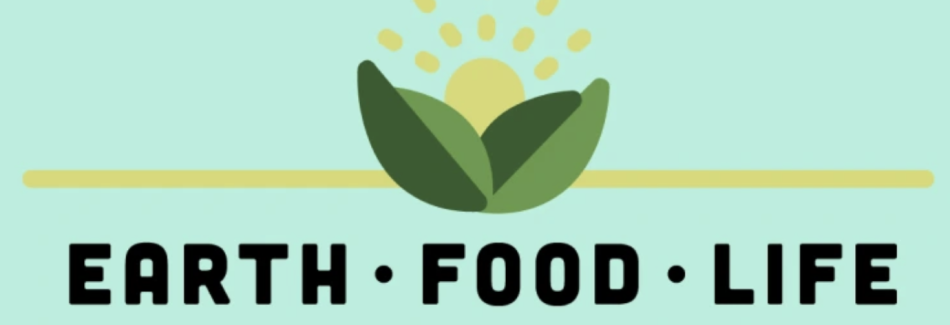 How to fix our food system - IEyeNews