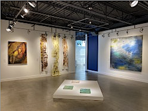 Cayman: New National Gallery Exhibition explores the influence of maps ...