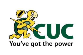 Cayman: The Generation Bid Process for CUC - IEyeNews