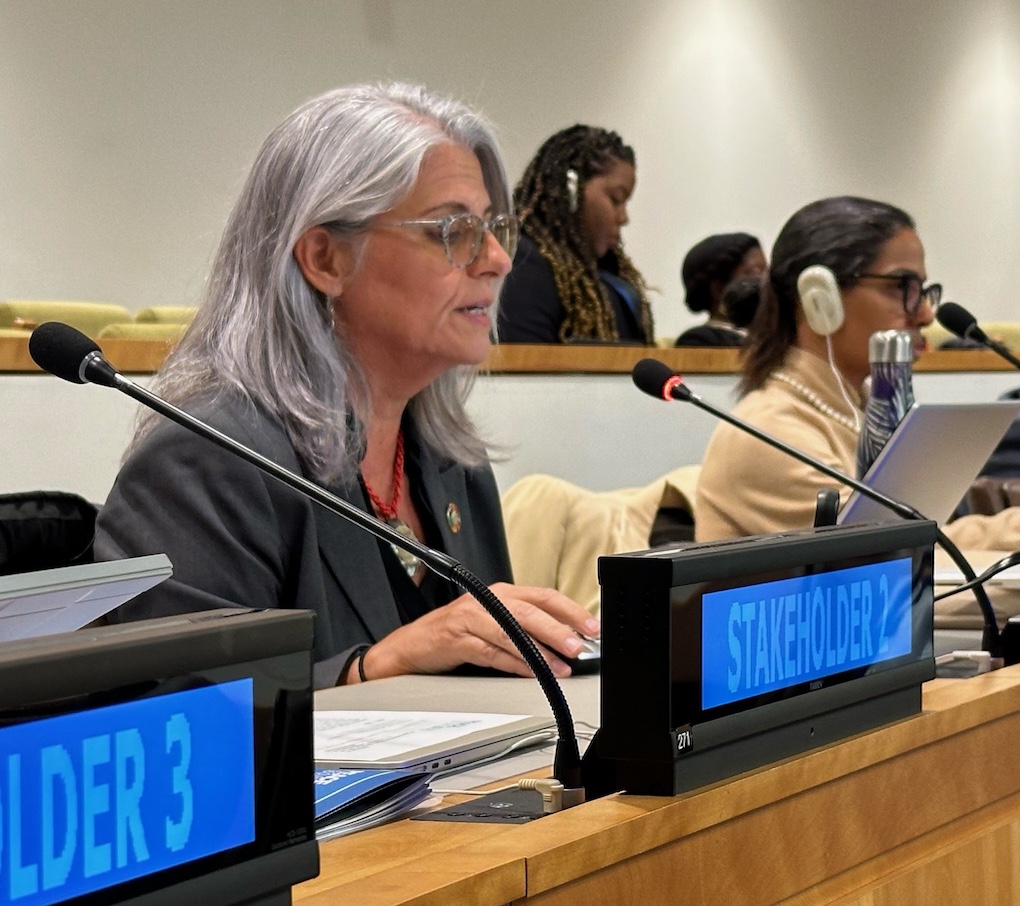 CANARI calls on Governments to partner with civil society for SIDS ...