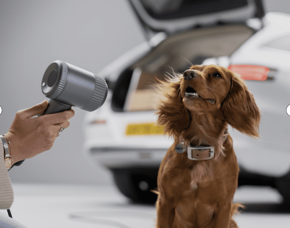 INTRODUCING GENESIS X DOG: A LUXURIOUS RIDE FOR DOGS - IEyeNews