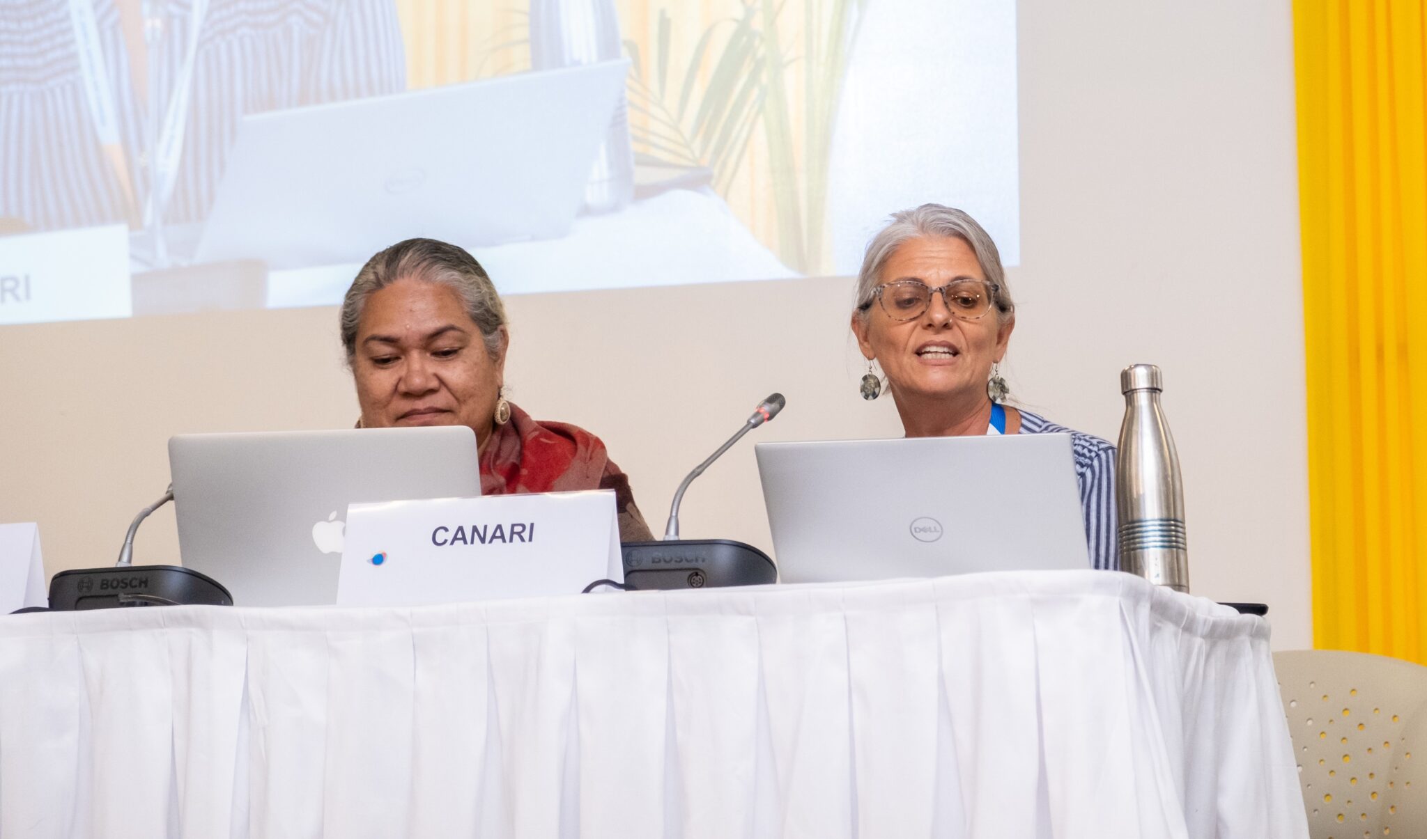 SIDS civil society launch 10-year Action Plan and Roadmap at the SIDS4 ...