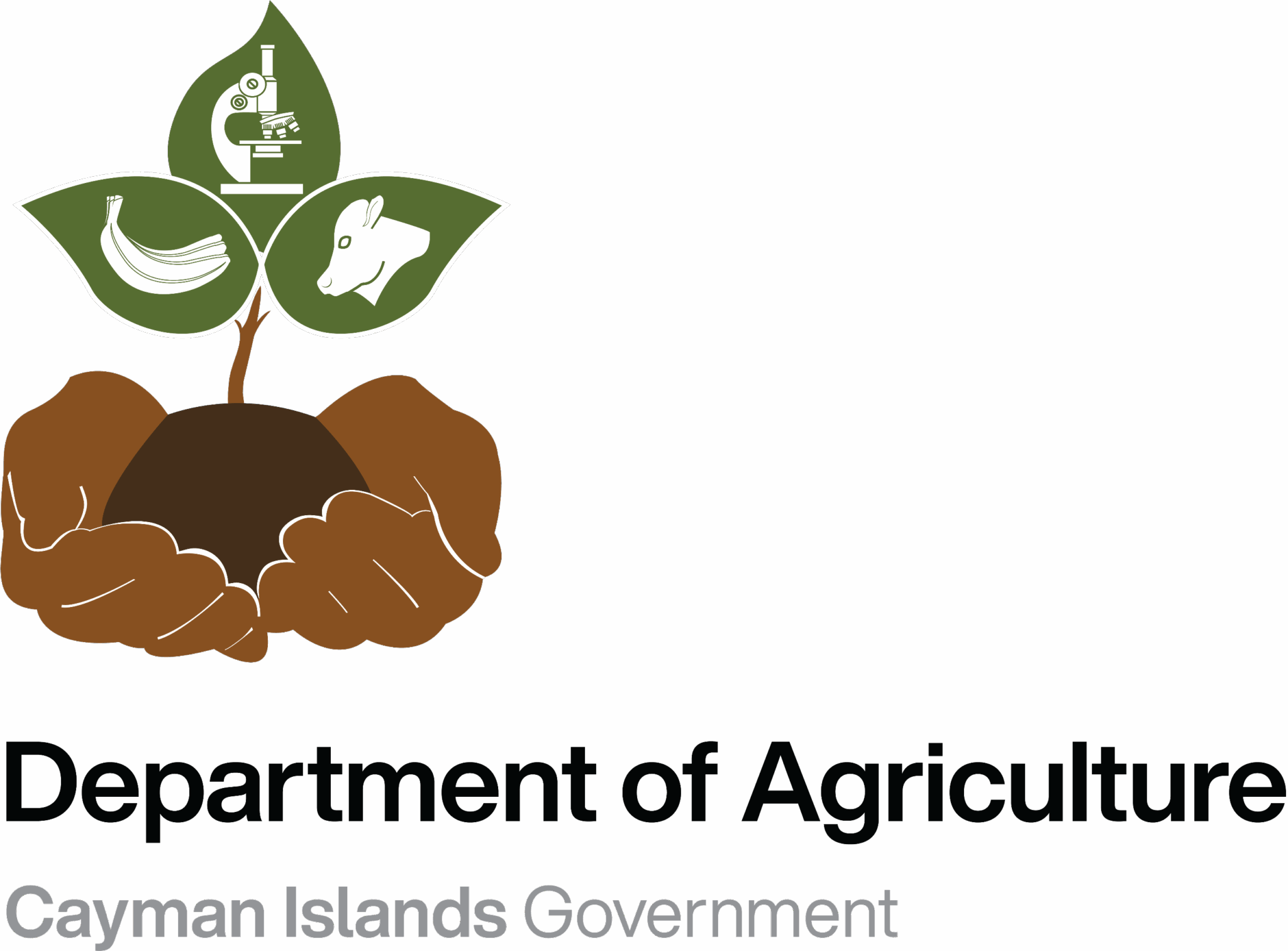 Cayman: Department of Agriculture’s Veterinary Services Welcomes Four ...