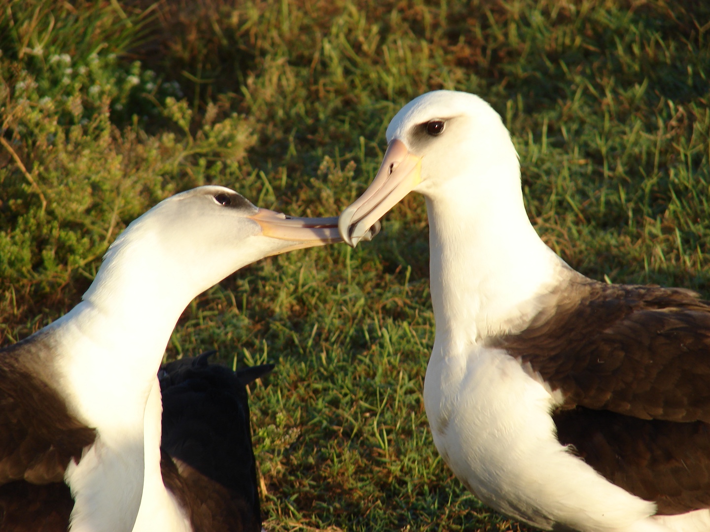 How Queer Ecology Reveals the Diversity of Nature and Human Experience ...